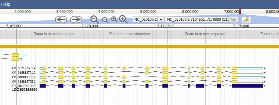 NeatCanvasFeatures tubular look (gradient) for non-coding transcripts · Issue #1311 · GMOD ...