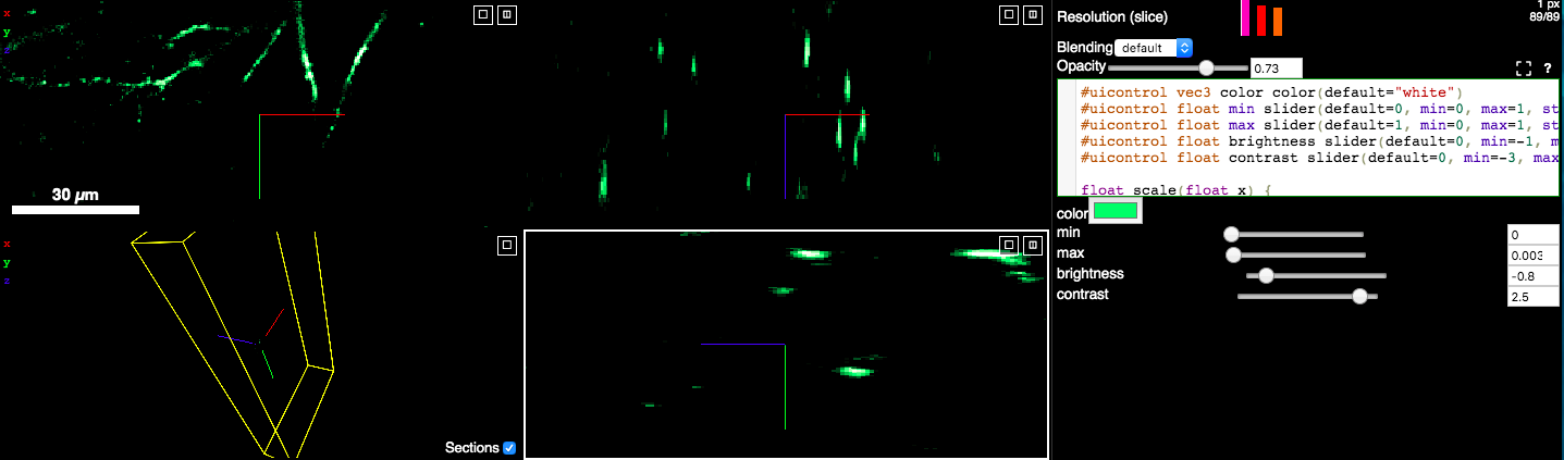 Questions on verifying "precomputed" dataset · Issue #204 · google/neuroglancer · GitHub