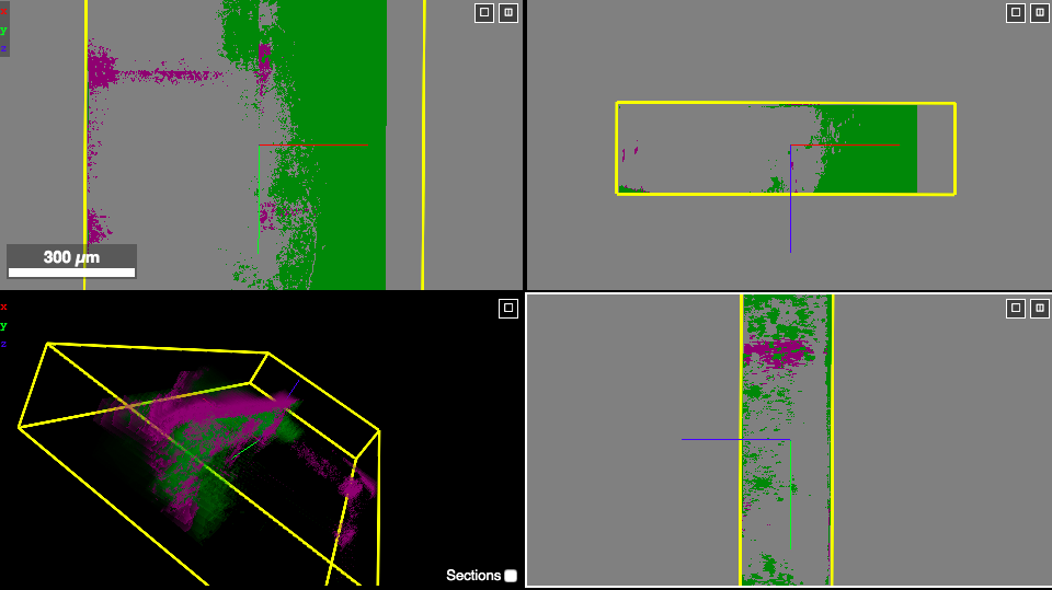 Questions on verifying "precomputed" dataset · Issue #204 · google/neuroglancer · GitHub