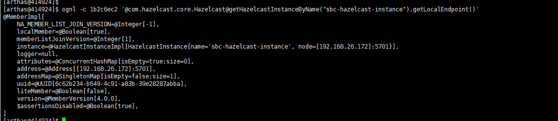 start a single cluster node.after running for a while,node change to lite members. · Issue ...