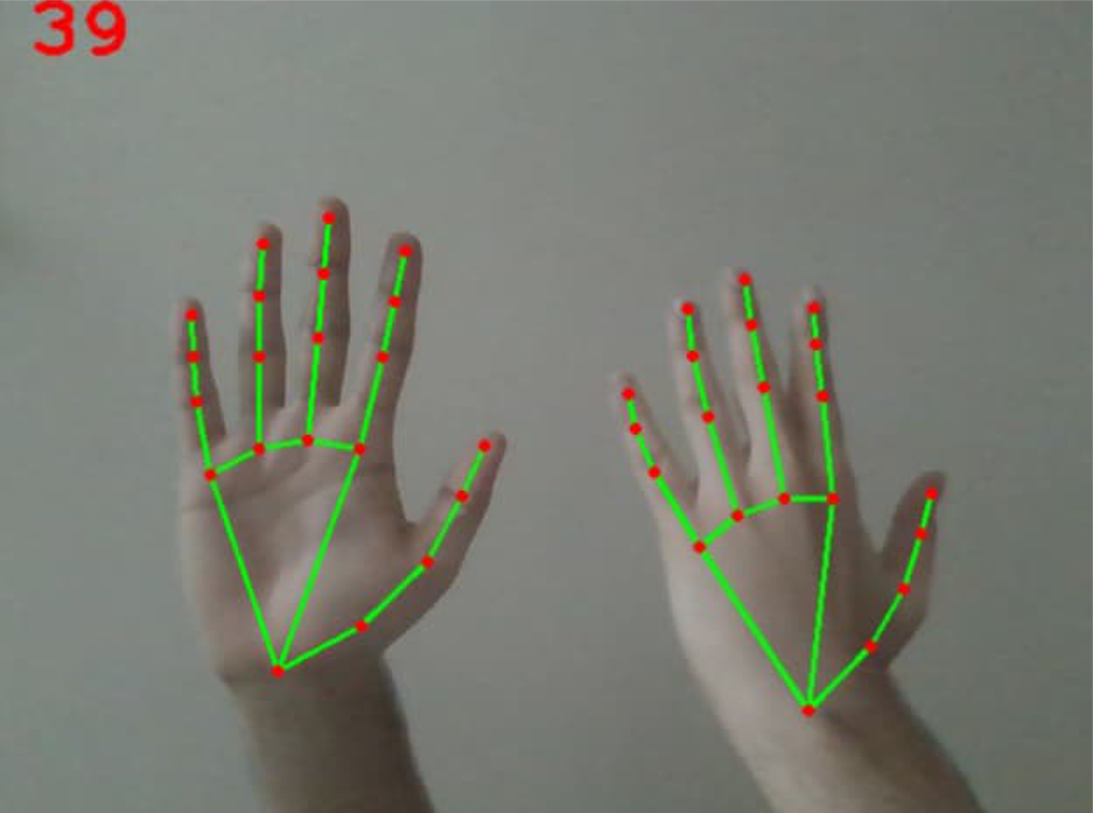 GitHub - KMaitreya/PalmTracking: A python project which will track palm of your hand using mediapipe