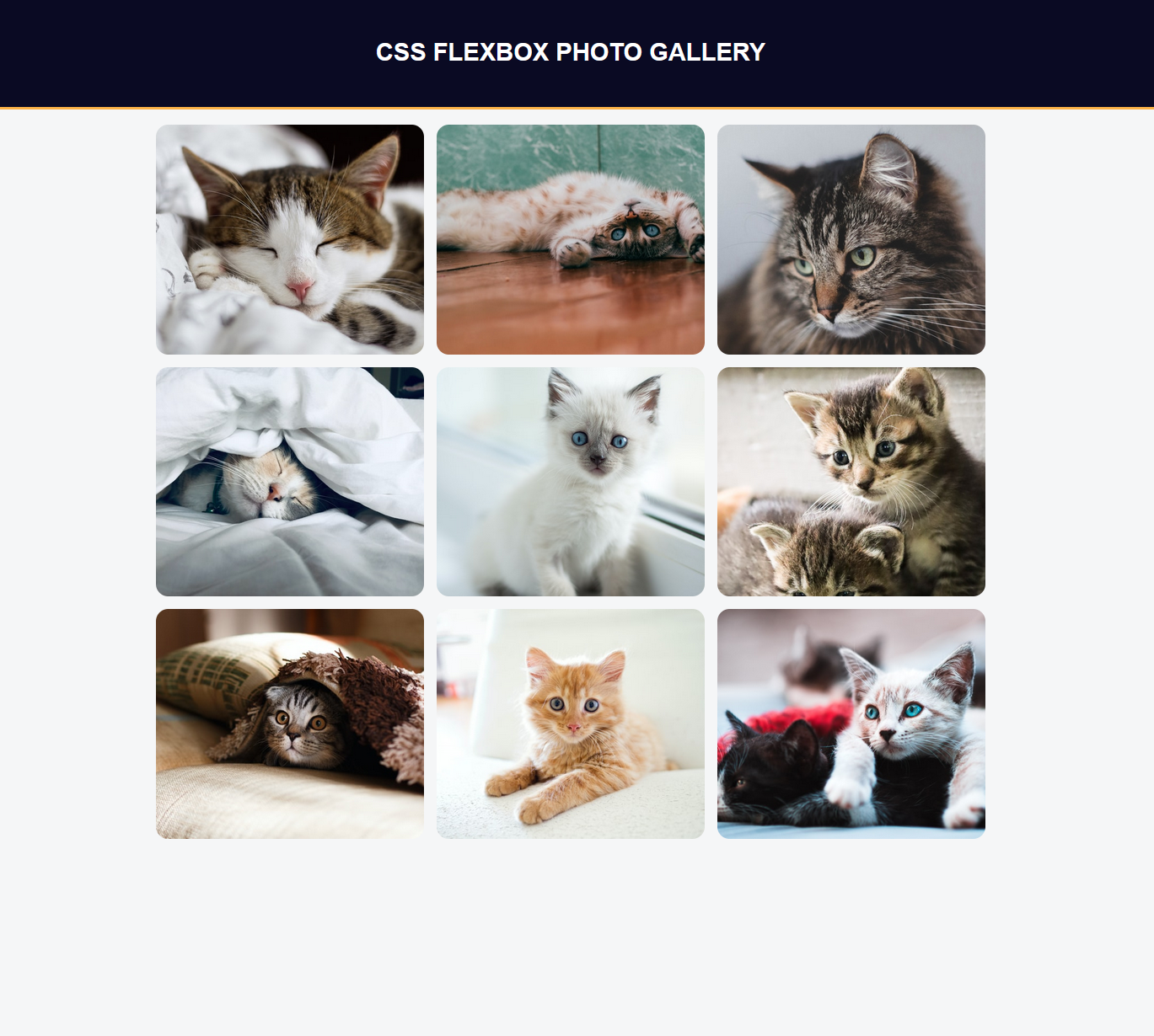 GitHub - hddv/css-flexbox-by-building-a-photo-gallery GitHub - hddv/css-flexbox-by-building-a-photo-gallery