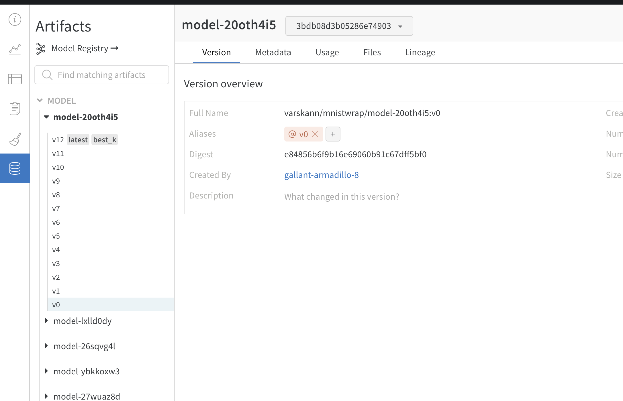 Q Logging Model Graph And Model Weights Update In Wandb · Issue 5174