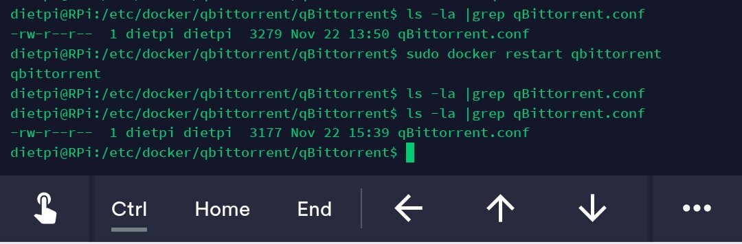 Cannot change qBittorrent.conf file - it gets overwritten after container restart · Issue #141 ...