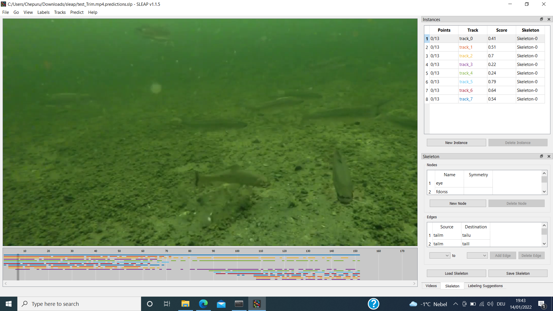 No Node Edges In Predicted Video Even After A Successful Inference