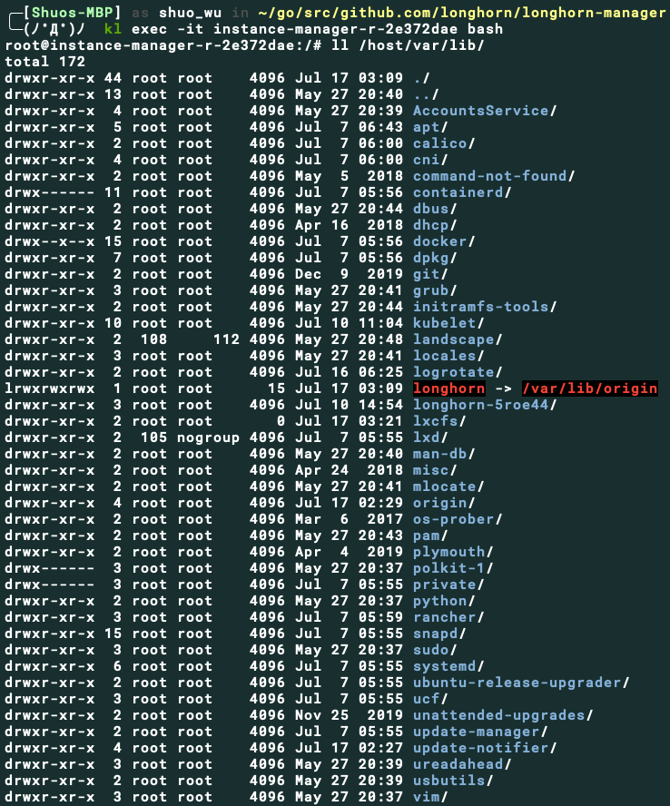 Bug Deadlock In Instance Manager When The Binary Is Not Right · Issue 1599 · Longhornlonghorn