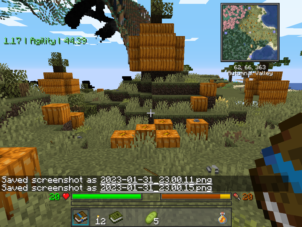 created a personal server and when in server terrain appears and then disappears · Issue #187 ...