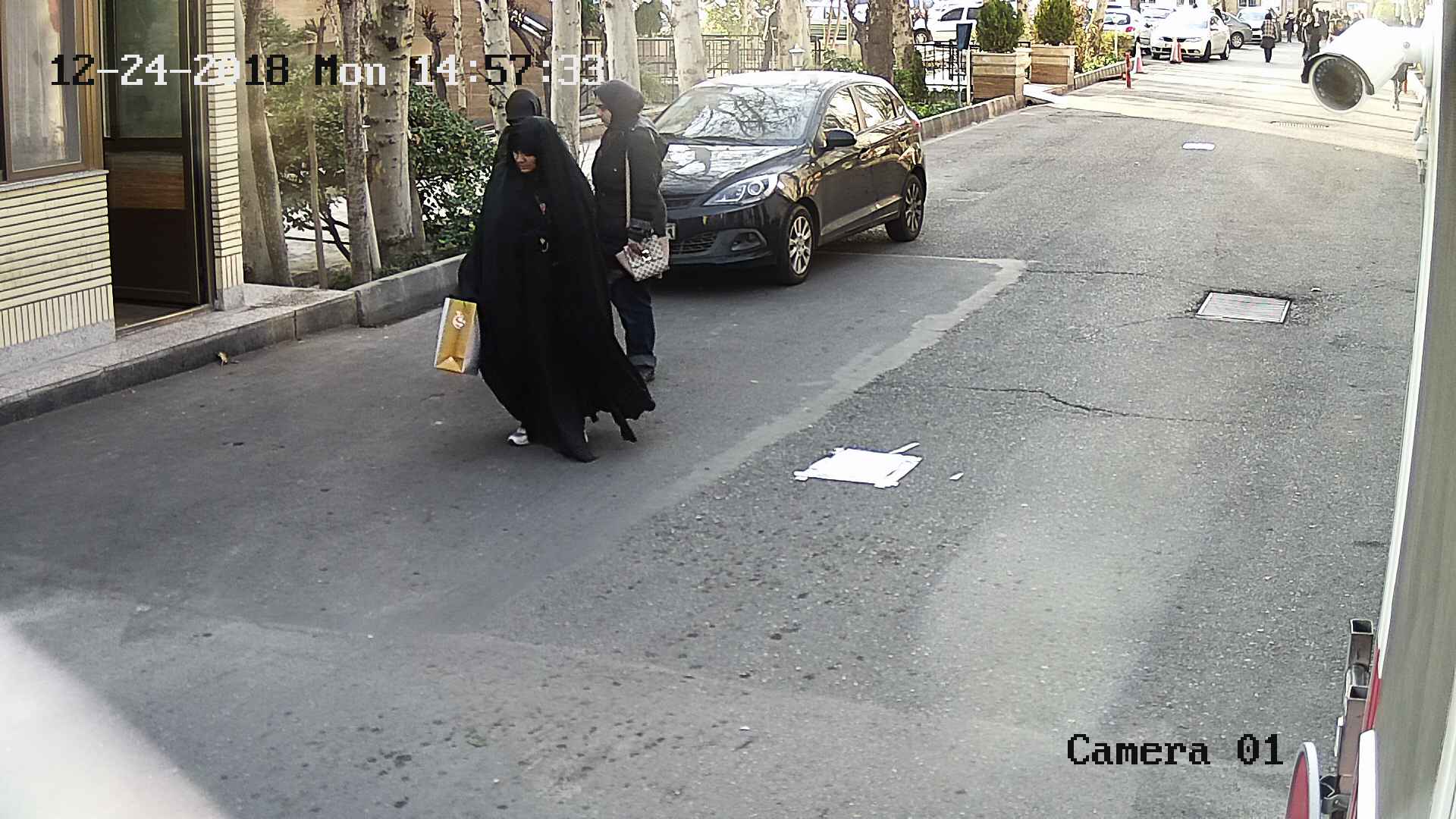 GitHub - tmorovati/Plate-Detection-and-Recognition-with-OpenALPR