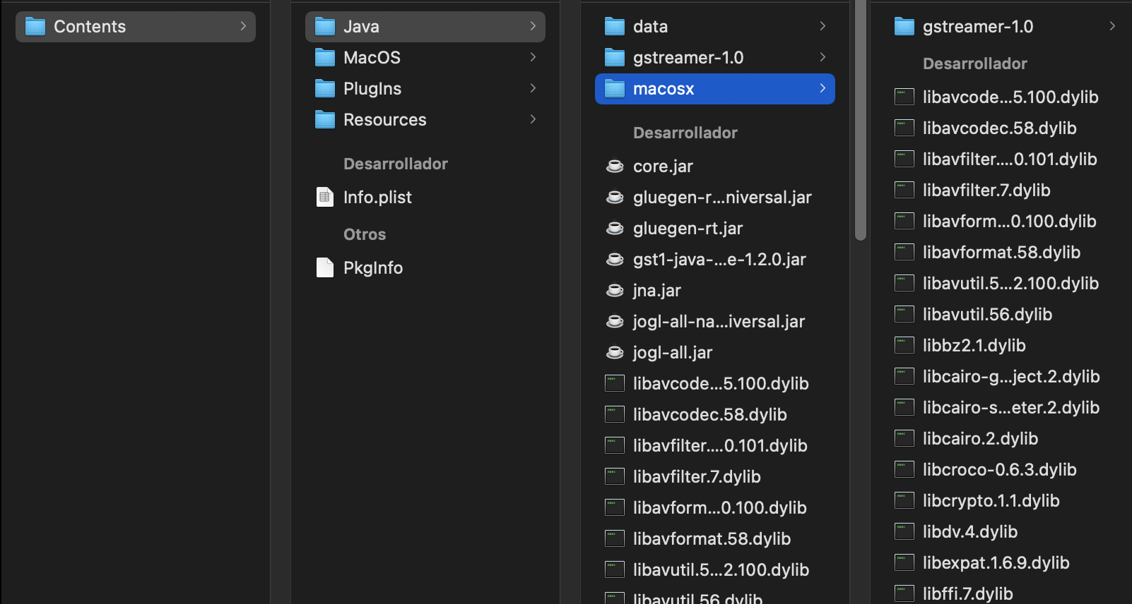 Video Library Problem with exported application and with java-processing on OSX Big Sur · Issue ...