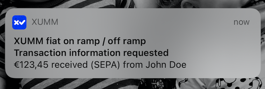 [Feature (Internal)] Add xApp direct launch (URL, push attribute) · Issue #303 · XRPL-Labs/Xaman ...