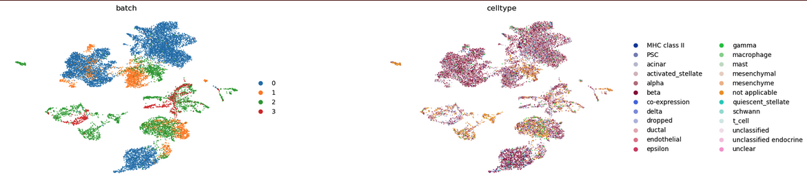 Batch correction incorrectly assigns cell labels · Issue #86 · theislab/scgen · GitHub