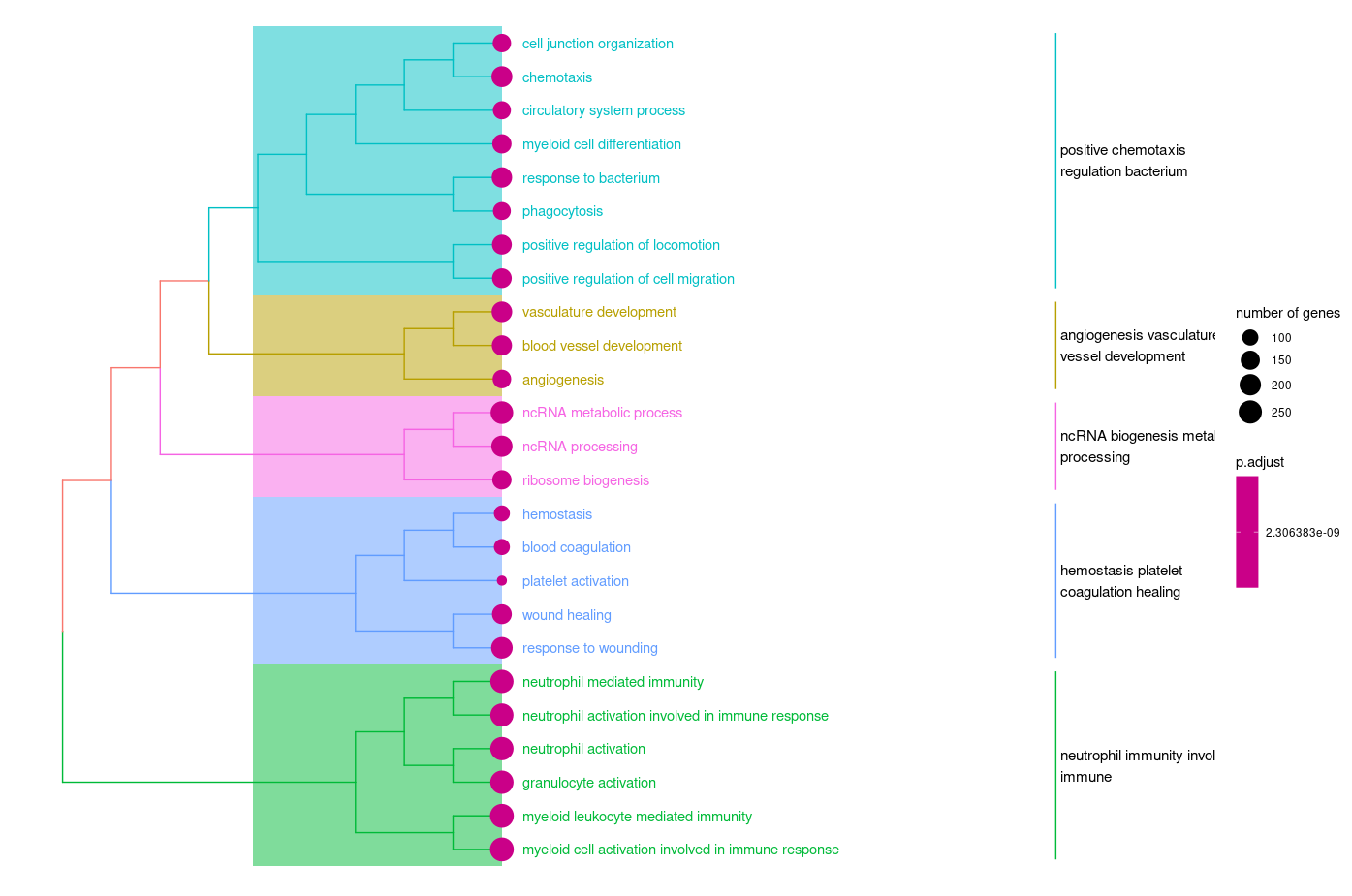Treeplot displaying wrong simplified labels · Issue #170 · YuLab-SMU/enrichplot · GitHub