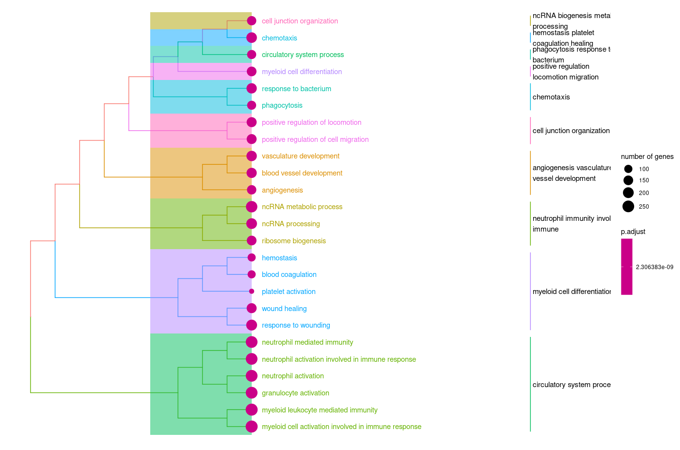 Treeplot displaying wrong simplified labels · Issue #170 · YuLab-SMU/enrichplot · GitHub