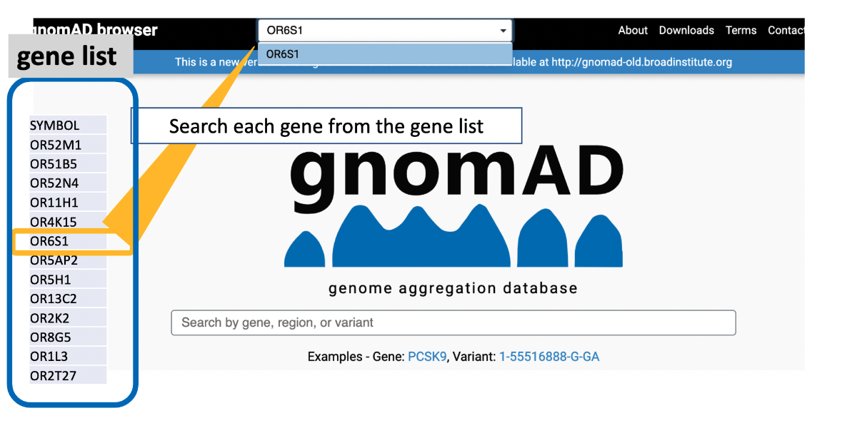 GitHub - hereisyoli/genetic_research