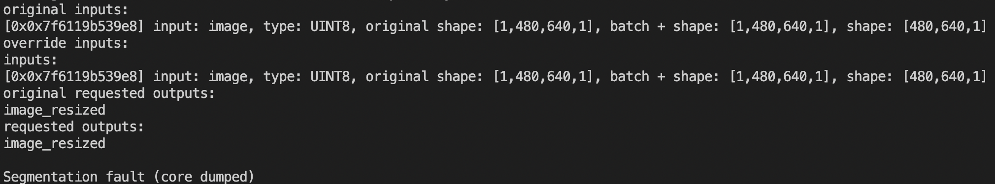 resize raise Segmentation fault (core dumped) · Issue #3968 · NVIDIA/DALI · GitHub