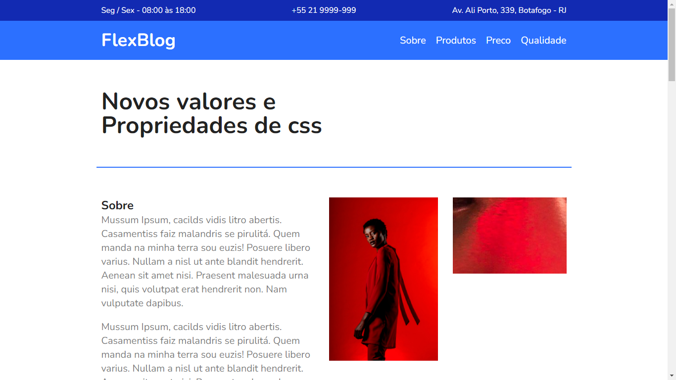 GitHub - leo-demetrio/flexblog