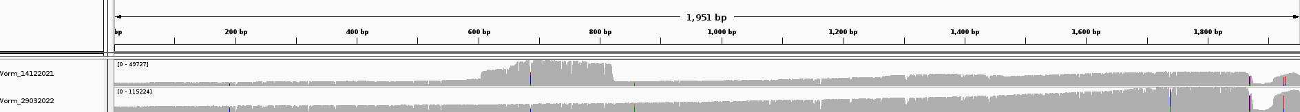 ONT direct RNA reads are mostly unmapped to reference genome, and have gaps in alignment · Issue ...