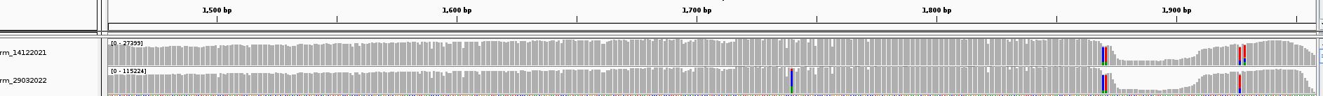 ONT direct RNA reads are mostly unmapped to reference genome, and have gaps in alignment · Issue ...