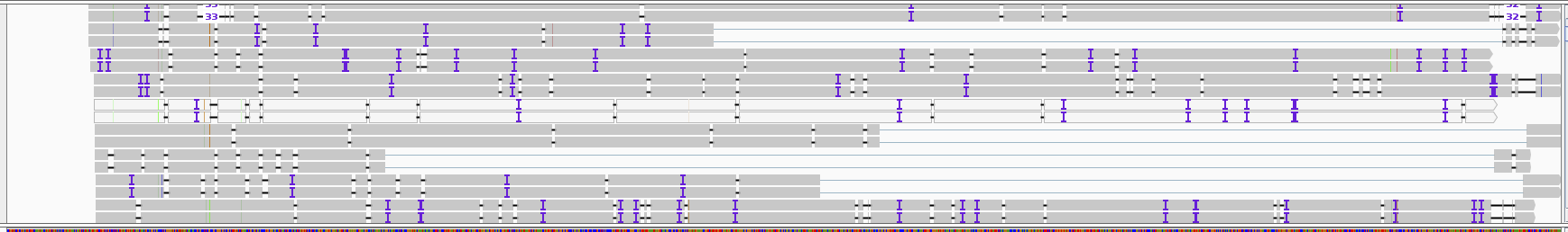 Large gaps in alignment for ONT direct RNA sequencing · Issue #902 · lh3/minimap2 · GitHub