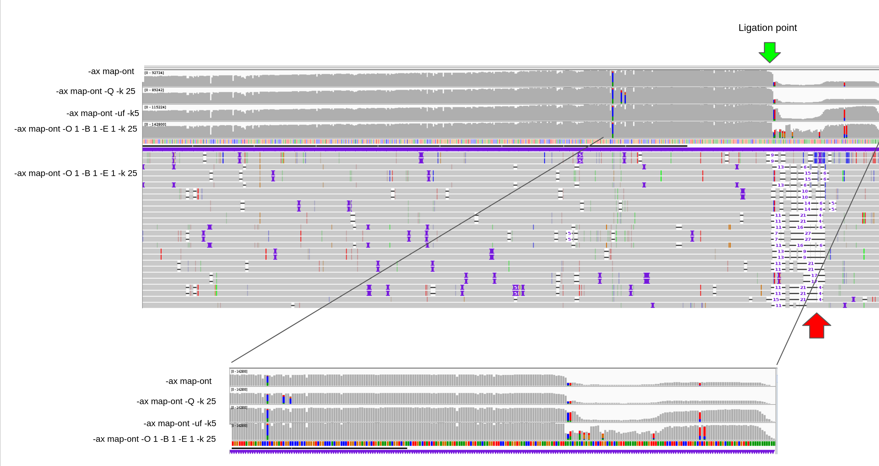 Parameters for noisy dRNA ONT · Issue #903 · lh3/minimap2 · GitHub