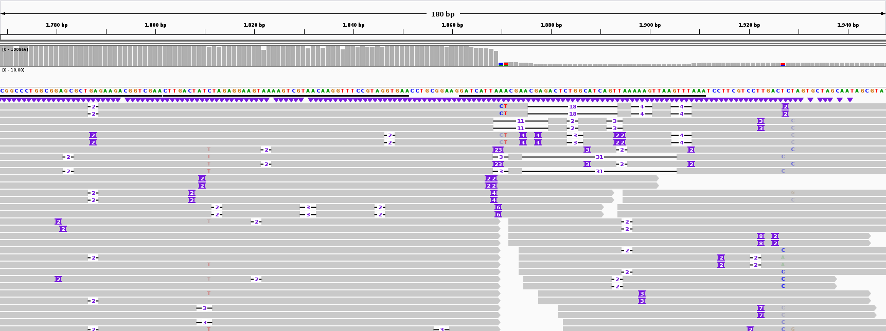 Parameters for noisy dRNA ONT · Issue #903 · lh3/minimap2 · GitHub
