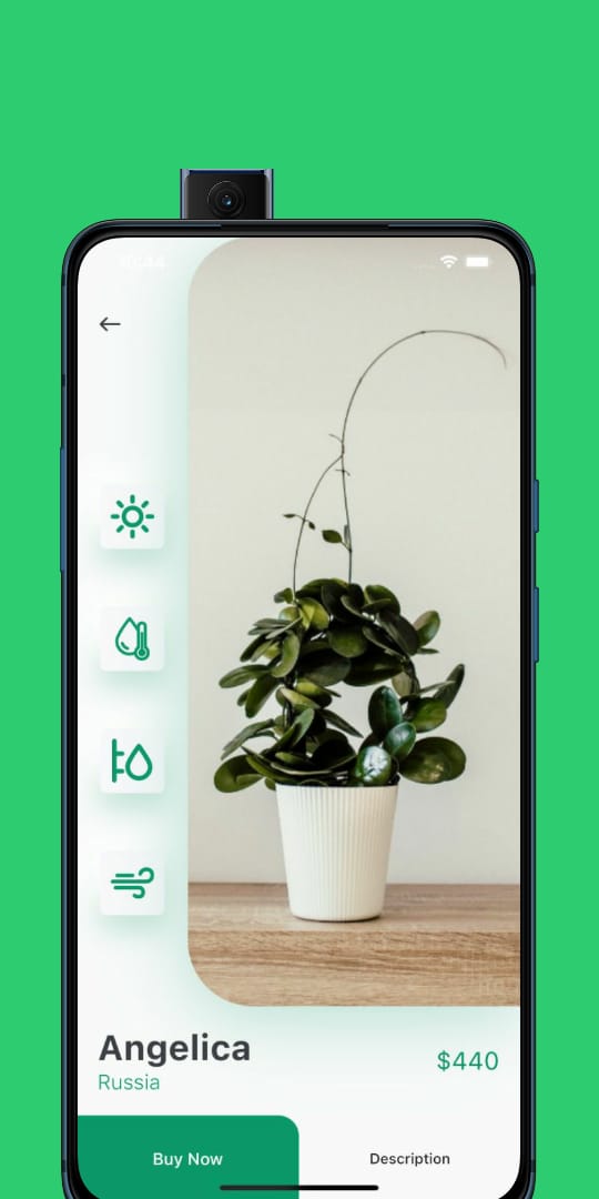 GitHub - Pavel401/Plant-App: Nice clean plant app UI using flutter, the Home page you will get ...