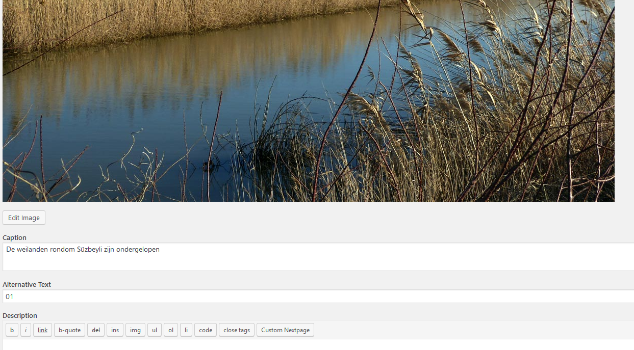Issue: with an empty caption field as well caption as description text of the image are shown ...