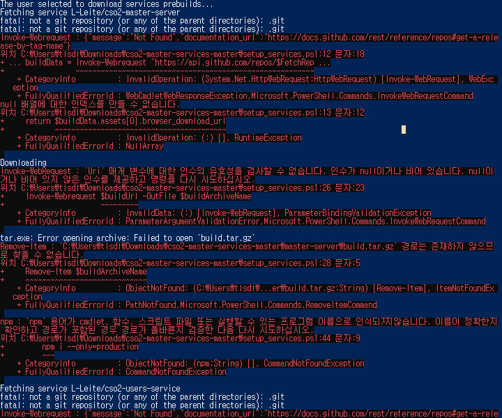 error? · Issue #120 · L-Leite/cso2-master-server · GitHub