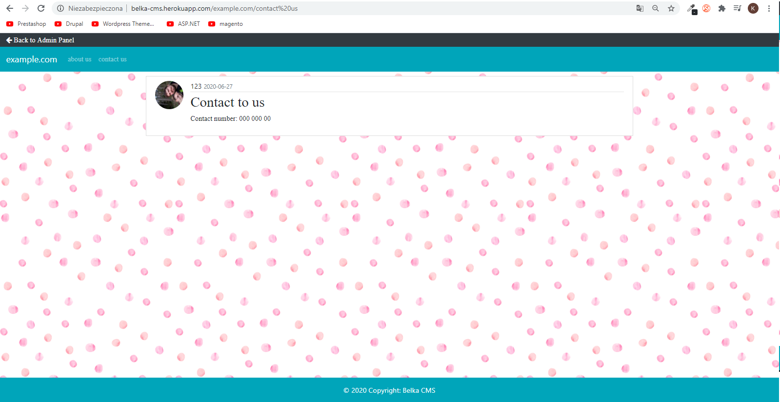 GitHub - kkedzierski/belka_cms: Create cms using flask