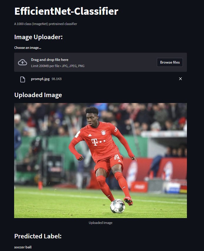 GitHub - KarimIbrahim11/EfficientNet-Pretrained-Classifier: Basic Use of a pretrained on ...