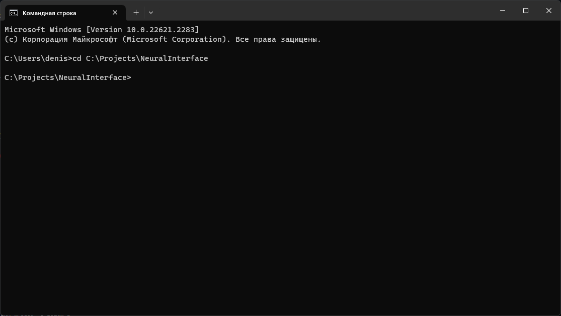 GitHub - Cognitive-systems-and-technologies/NeuralInterface: interface for library