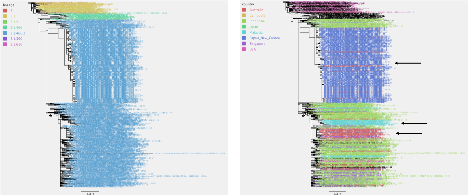 Proposal for new lineage within B.1 · Issue #30 · cov-lineages/pango ...