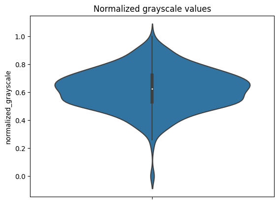 GitHub - alramalho/segment-anything-organoids