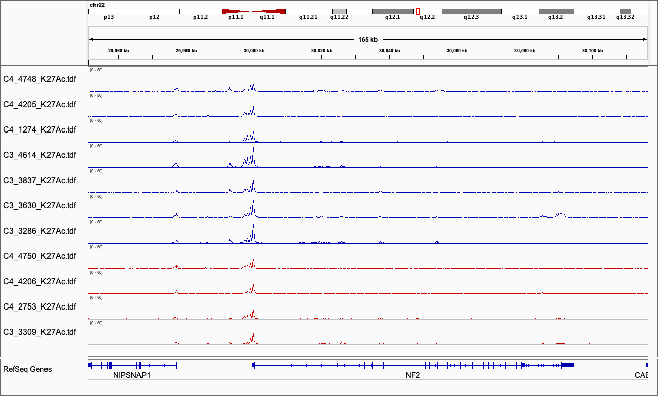 Error in RepViz · Issue #1 · elolab/RepViz · GitHub