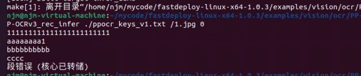 PP-OCRv3 fastdeploy::vision::ocr::DBDetector(det_model_file, det_params_file, det_option); 出现 ...