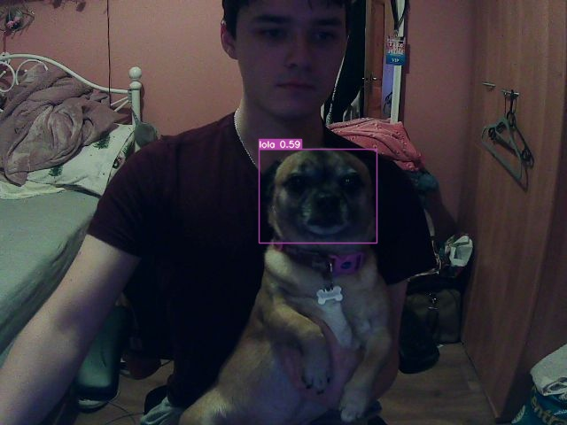 GitHub - jakewarrenblack/yolov7_data: Using YOLOv7 to detect my dog in photos. Dataset of around ...