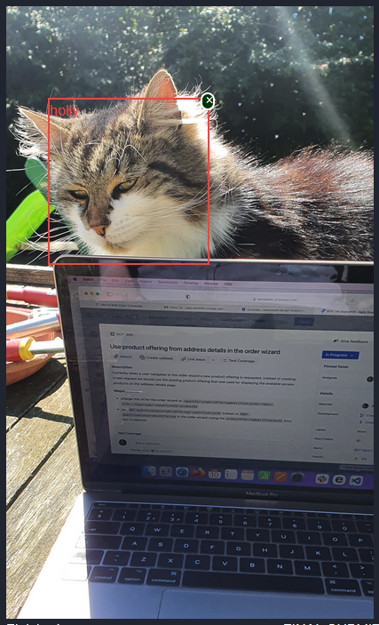 Innacurate coordinates when image is in portrait orientation · Issue #4 ... Innacurate coordinates when image is in portrait orientation · Issue #4 ...