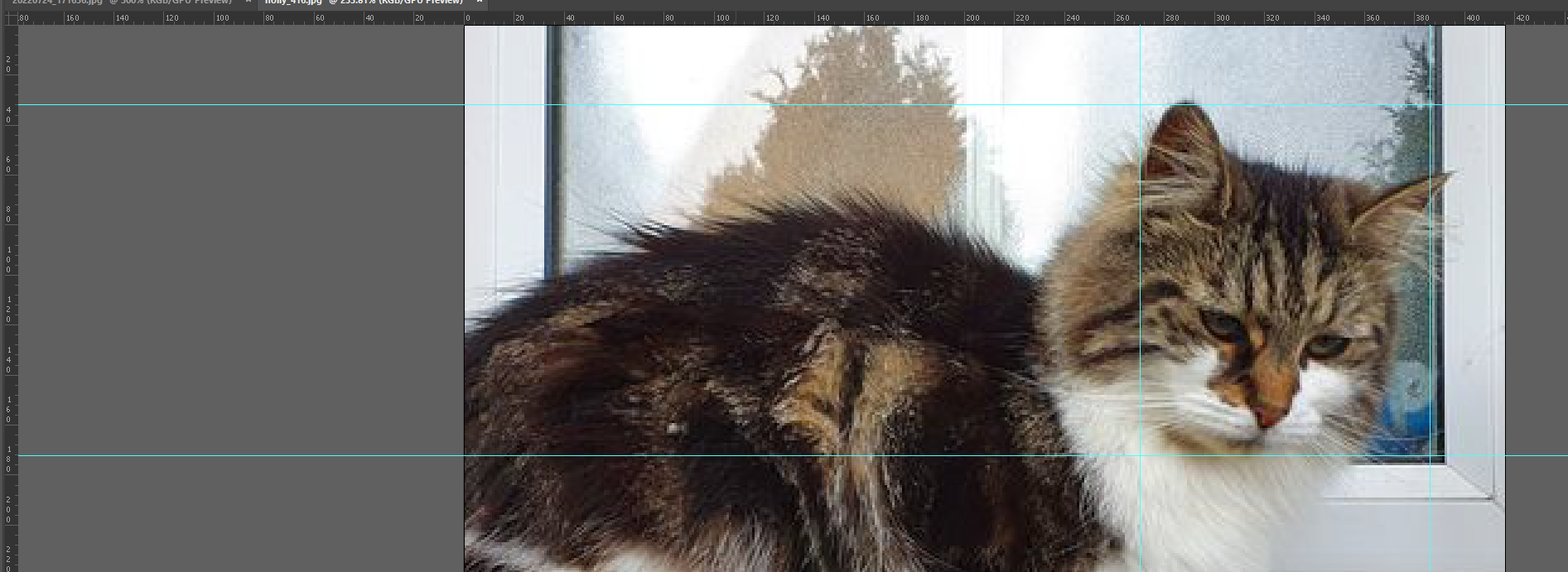 Innacurate annotations when coordinates received from opencv · Issue #5 ... Innacurate annotations when coordinates received from opencv · Issue #5 ...