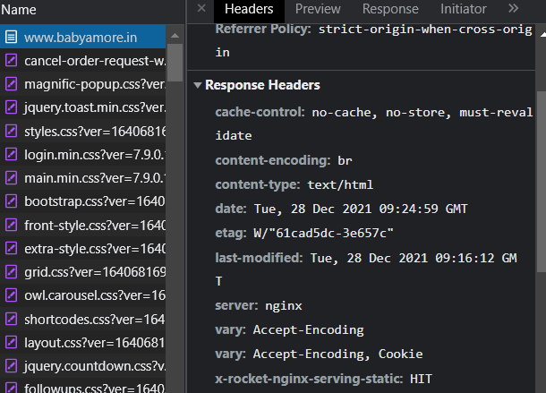 Rocket-Nginx on Plesk not serving static files. · Issue #173 · SatelliteWP/rocket-nginx · GitHub