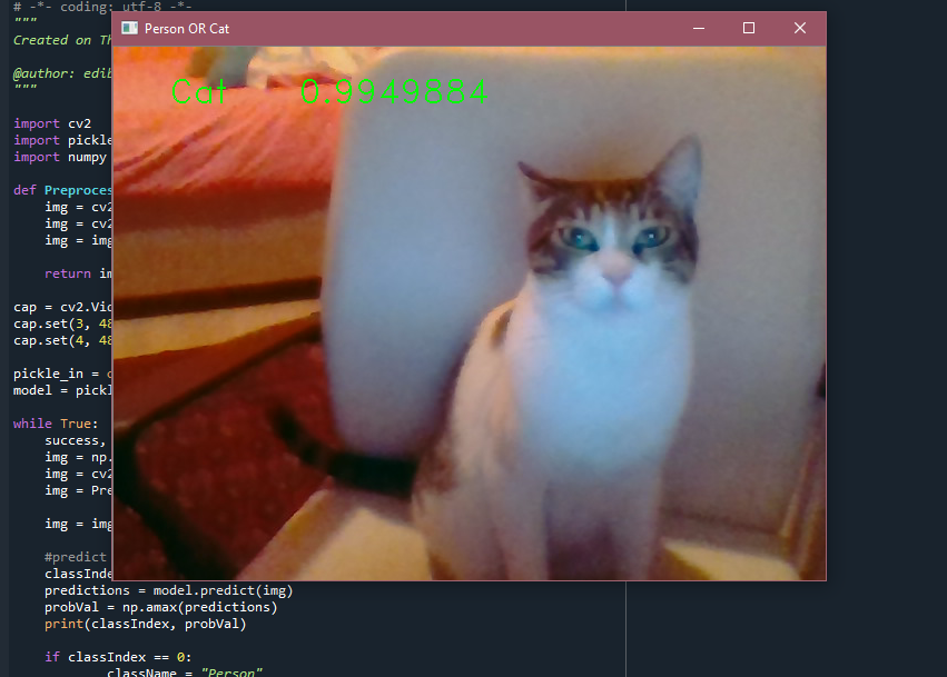 GitHub - edibeozkul/cat-human-face-classification: In this project, I ...