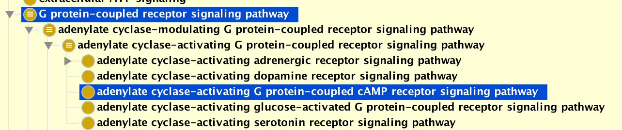 Widen def for GO:0019933 cAMP-mediated signaling or new terms · Issue ...