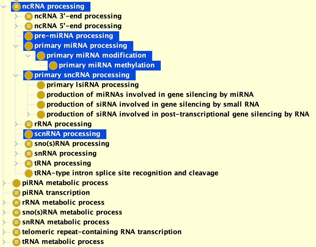 snRNA processing: change label and update definition · Issue #23084 ...