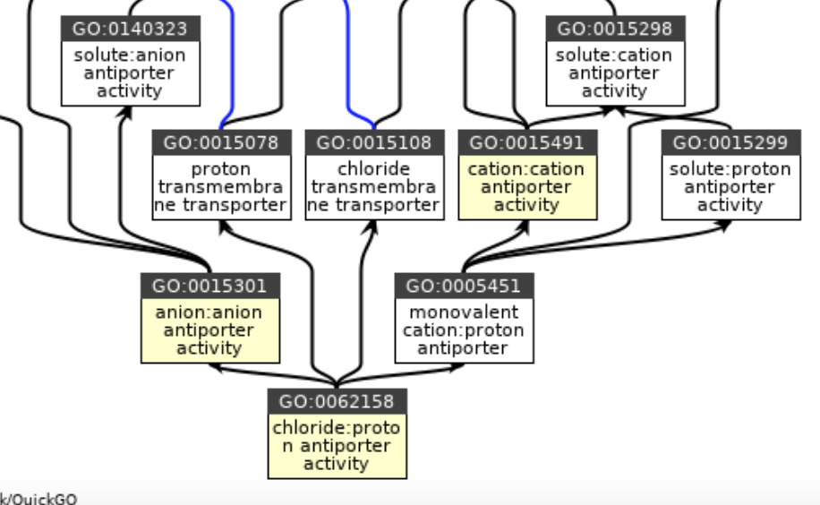 Modifications to antiporter (and symporter) branch · Issue #23374 ...