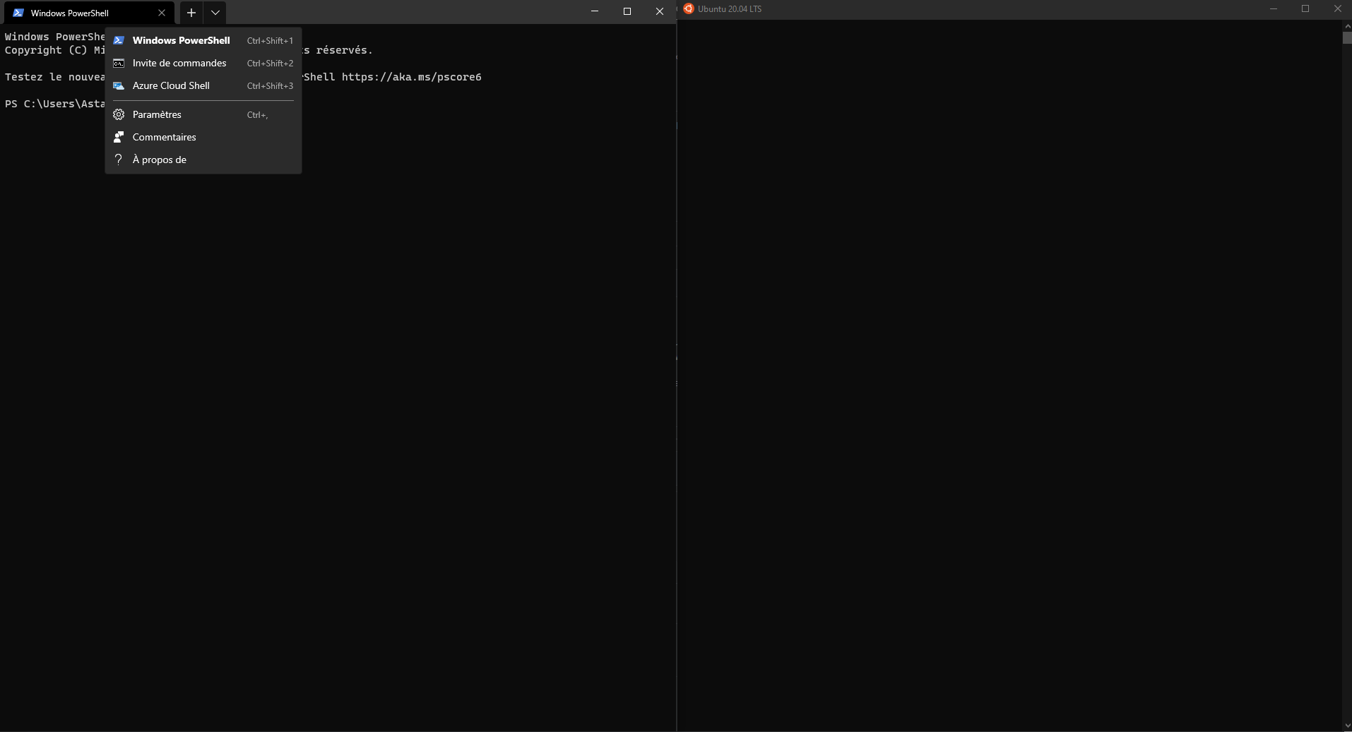 WSL2 terminal won't start · Issue #5912 · microsoft/WSL · GitHub
