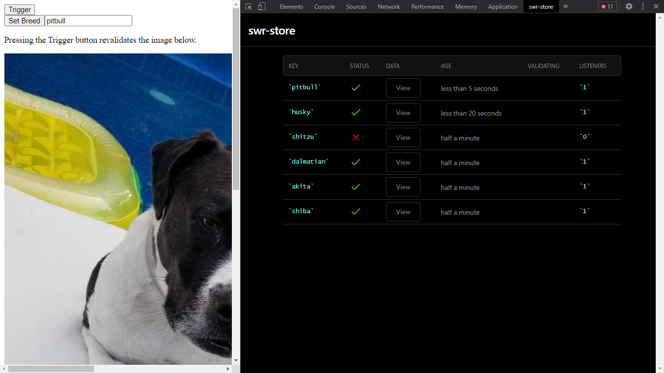 GitHub - lxsmnsyc/swr-store-devtools: Chrome DevTool for swr-store