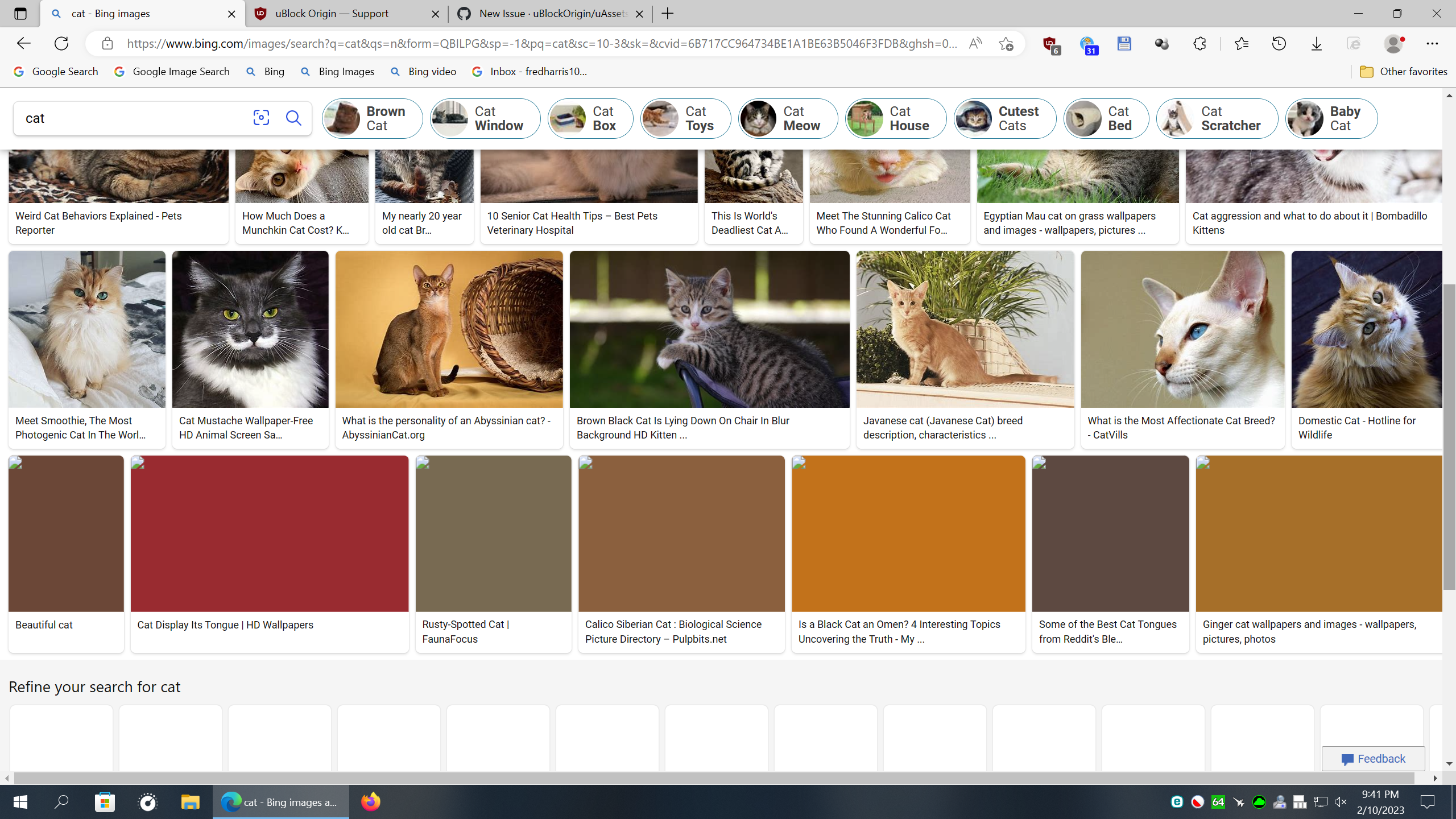 bing.com: image and video search breakage · Issue #16701 · uBlockOrigin ...