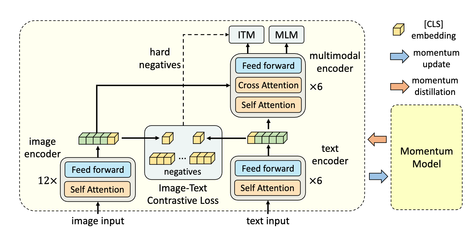 Seems inconsistency between figure in ALBEF paper and corresponding code · Issue #480 ...