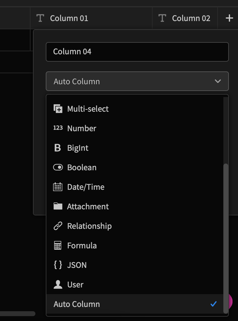 I Cannot See Options For Autotypes In Internal Table Creation · Issue 12064 · Budibasebudibase 