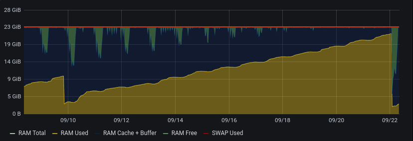 Vector high memory usage / memory leak · Issue #9207 · vectordotdev/vector · GitHub