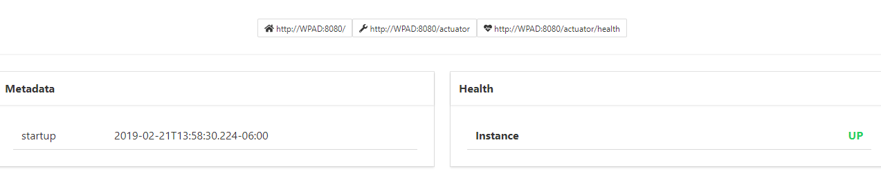 Spring Boot Admin only showing health · Issue #1102 · codecentric/spring-boot-admin · GitHub